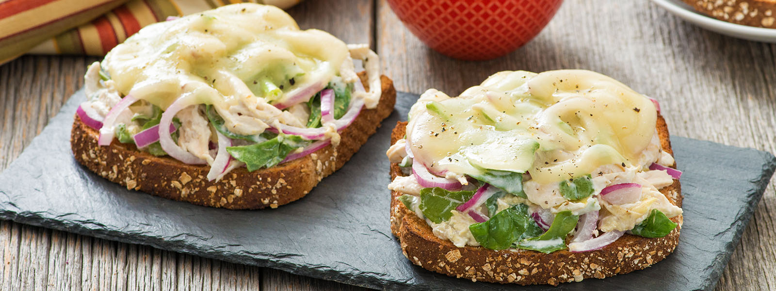 Greek-Style Easy Chicken Melts | Dempster's